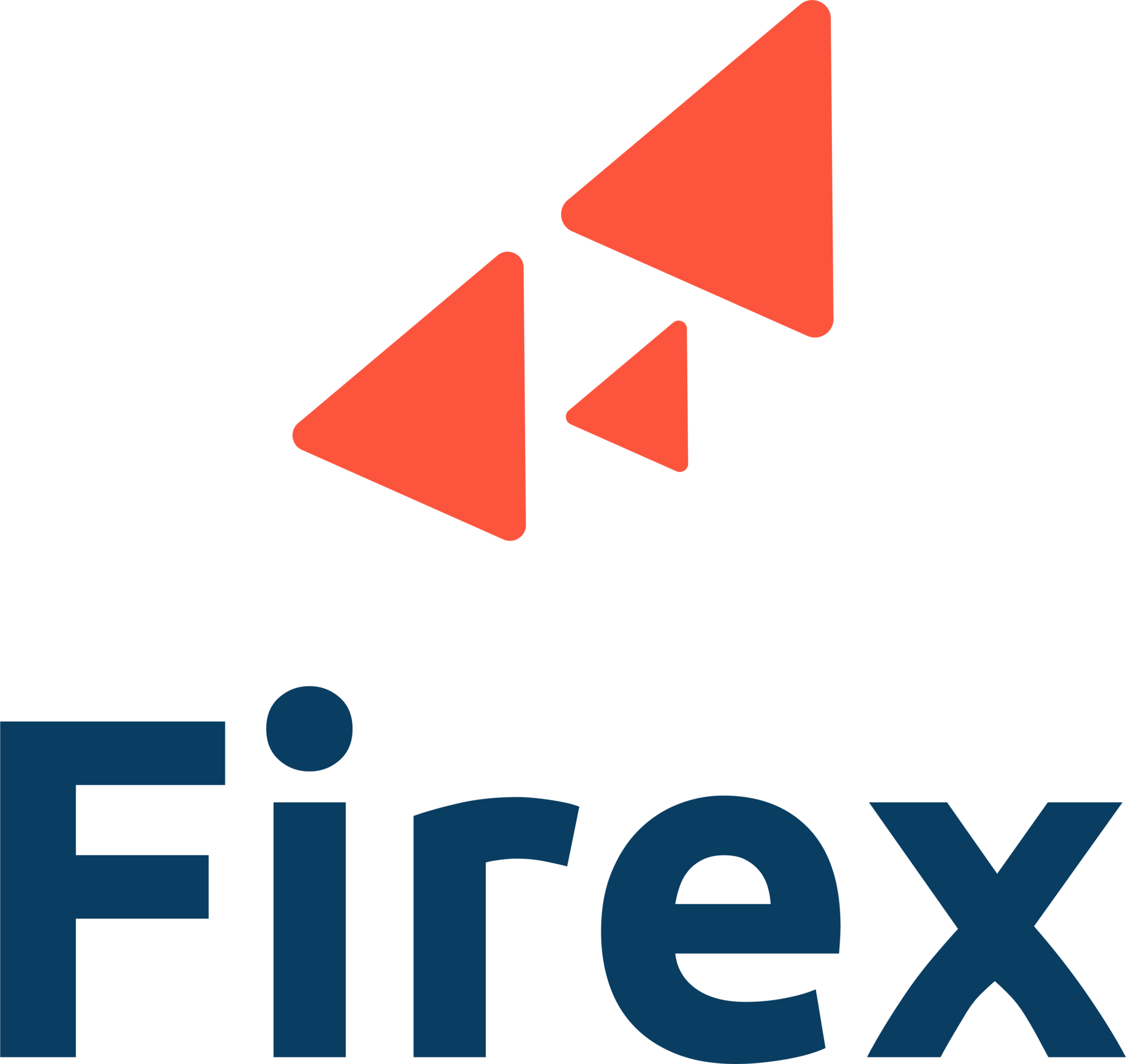 Les sociétés du groupe FIREX - Firex